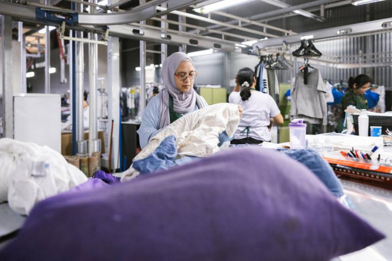 How To Do Professional Dry Clean At Home: A Complete Guide